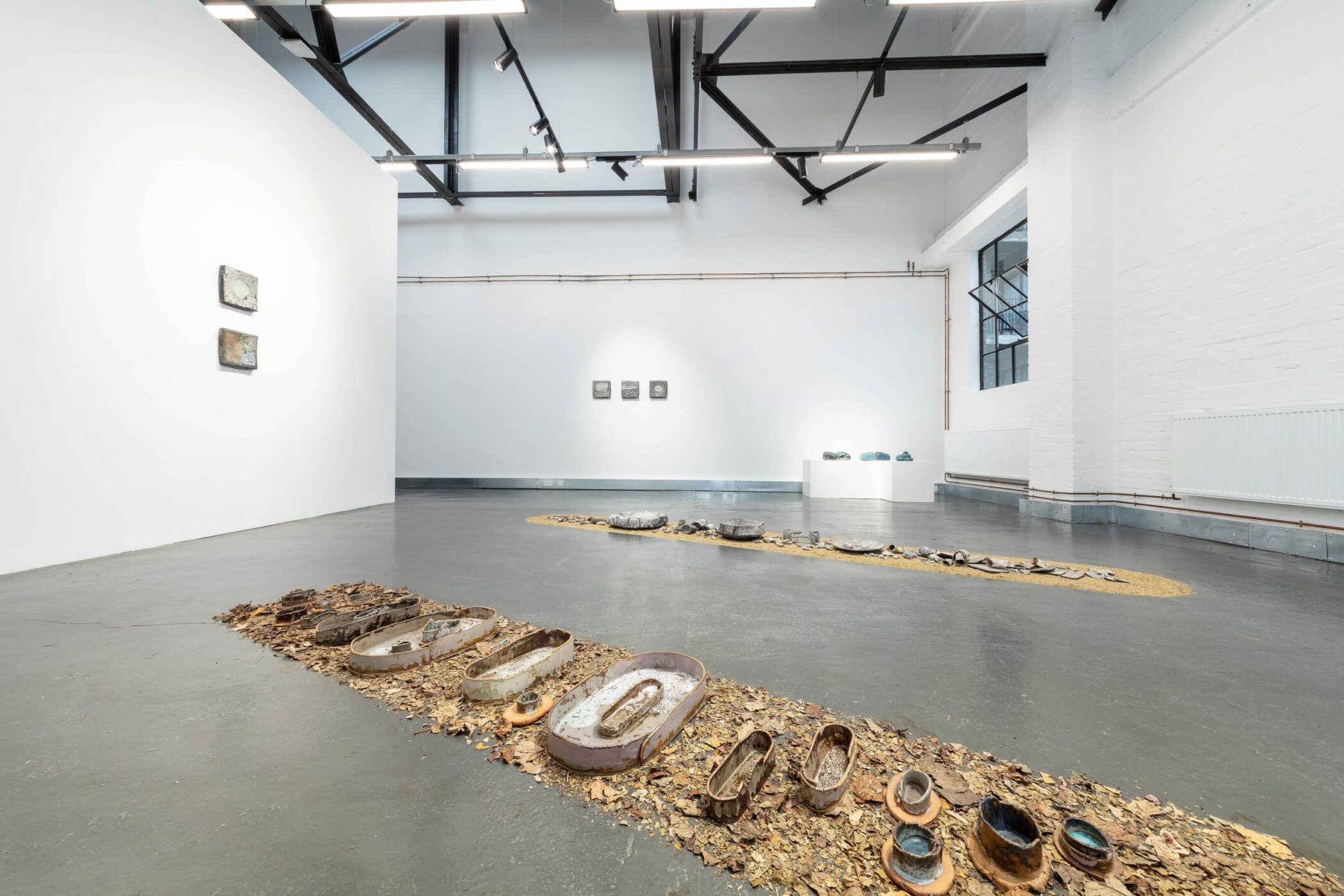 Look and See - Elizabeth Xi Bauer