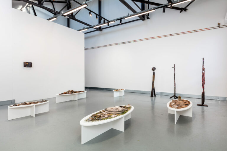 Toktokkie II (Onymacris unguicularis): Observations of fog-basking ...